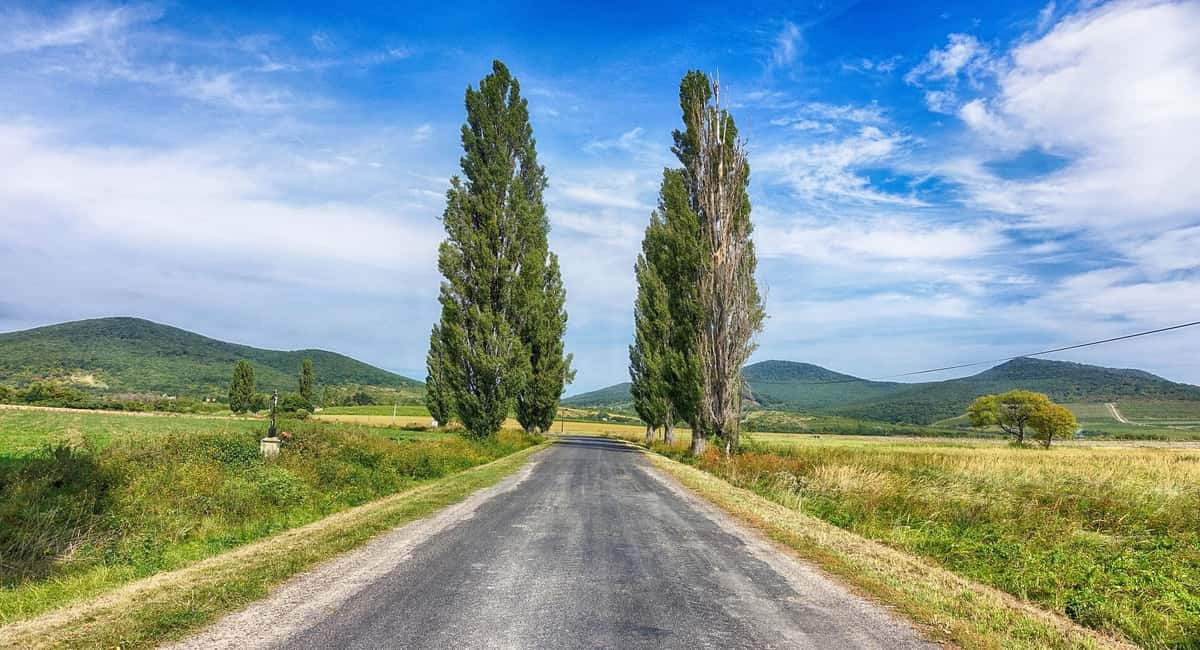 A cheap Plan B in rural Hungary - The Wandering Investor